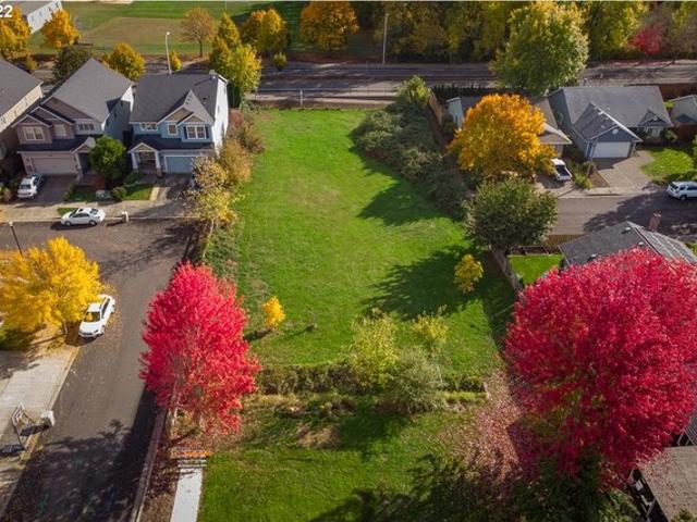 Waterleaf, Beaverton, OR 97006