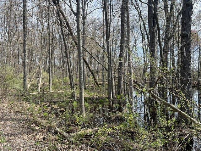 Waterloo Munith Rd, Grass Lake, MI 49240