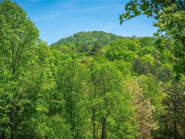 Waterstone Way Lot 4 Mineral Bluff, GA 30559
