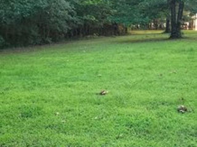Waters Edge Dr Lot 6, Taylor, AR 71861