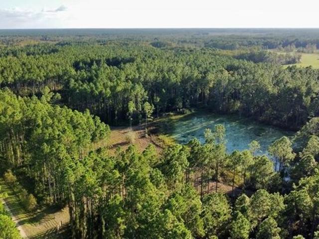 Waters Pond Rd, Chiefland, FL 32626