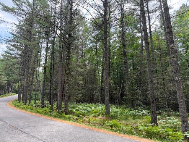 Watersmeet Lake Rd Lot 1, Eagle River, WI 54521