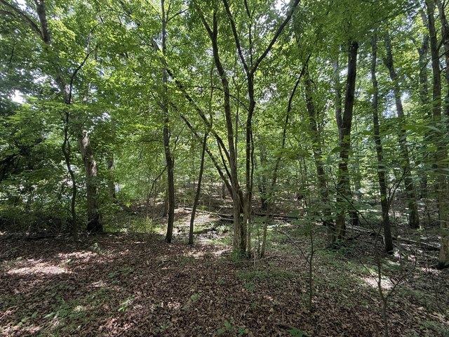 Waterway Trl, New Concord, KY 42076