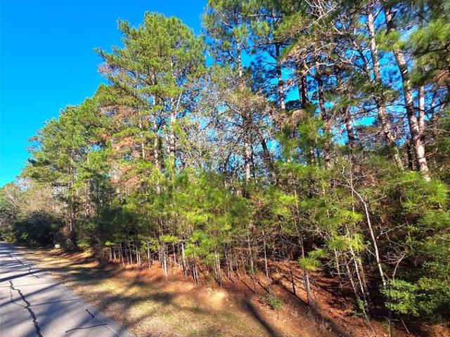 Waterwood Bay Rd, Huntsville, TX 77320