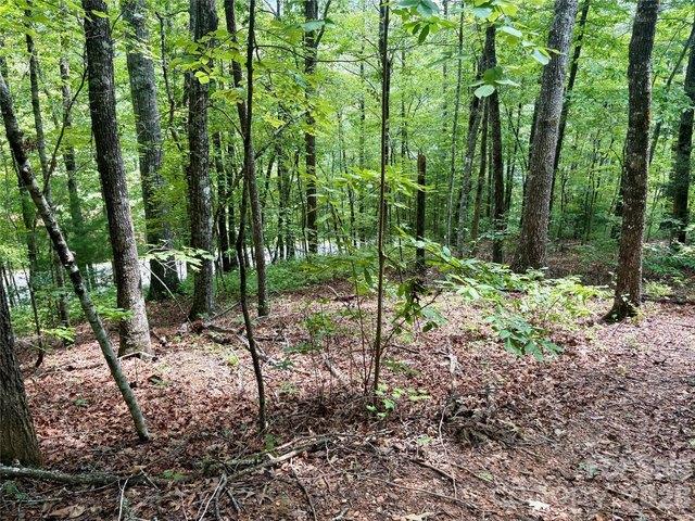 Watia Rd, Bryson City, NC 28713