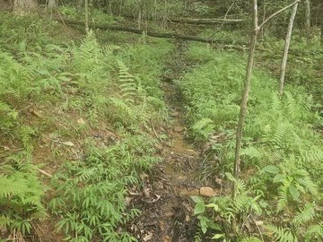Watkins Rd, Blue Ridge, GA 30513
