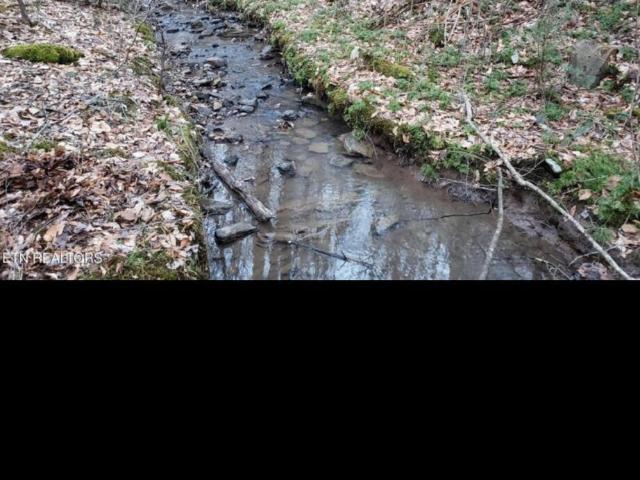 Watson Hollow Rd, Speedwell, TN 37870
