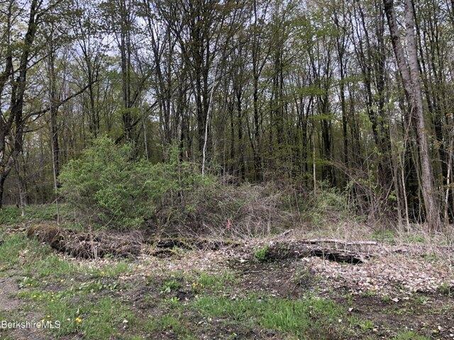 Watson Rd, Hinsdale, Plot For Sale
