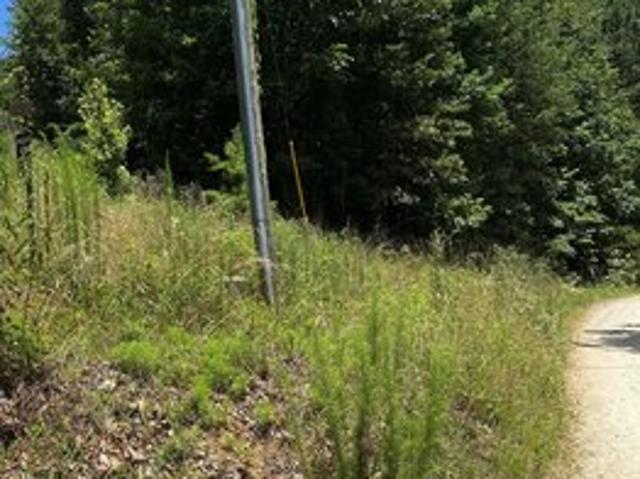 Wauka Ridge Rd Lot 30, Clermont, GA 30527