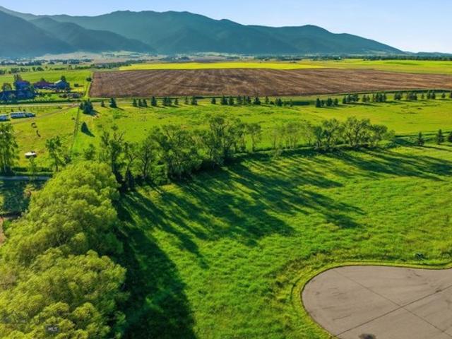 Wavy Leaf Way, Bozeman, MT 59718
