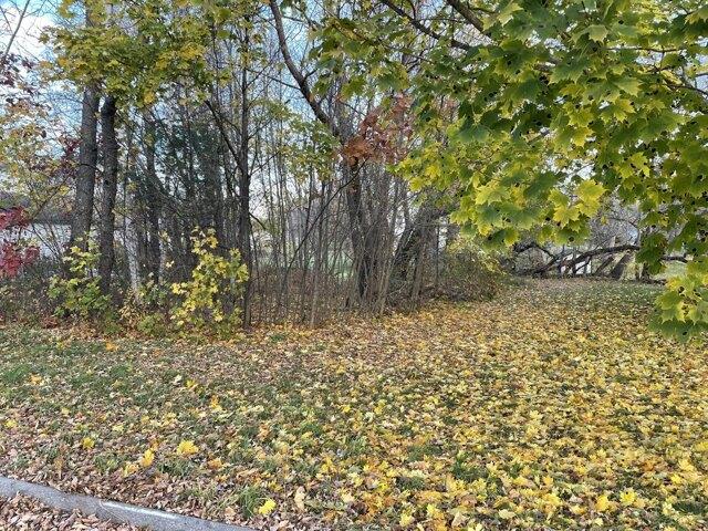Waverly Ave, Pittsfield, Plot For Sale