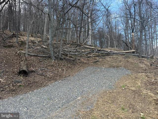 Waxler Road