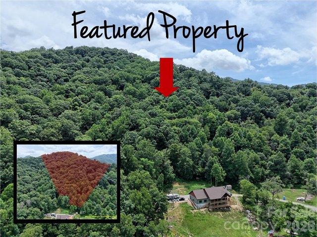 Wayward Cv, Clyde, NC 28721