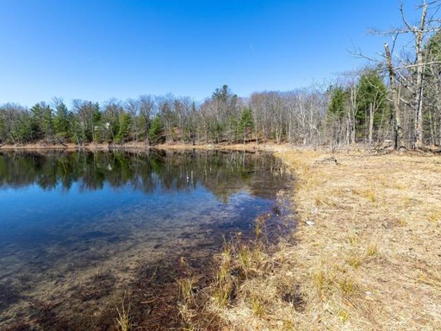 Way Lot Eagles, Pickerel, WI 54465
