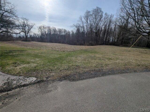 Wayland NY 14572 103621702