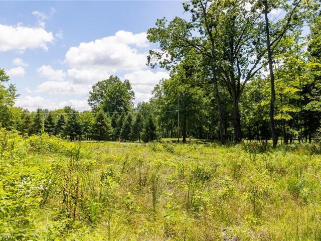 Wayland Road