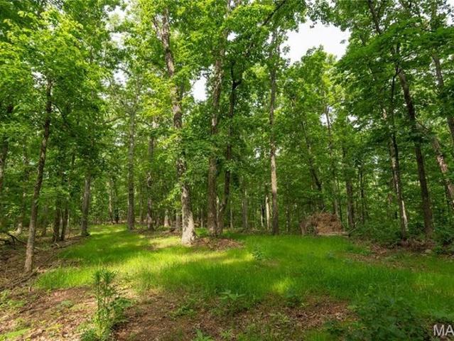 Wayne, Piedmont, MO 63957