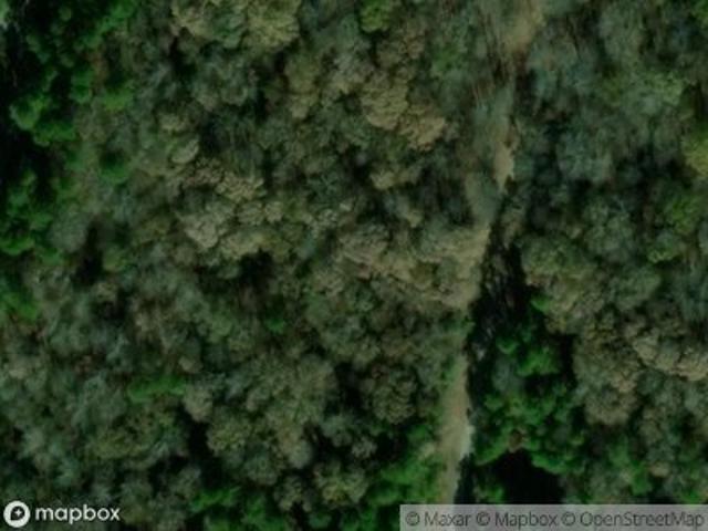 Wayne Smith Dr