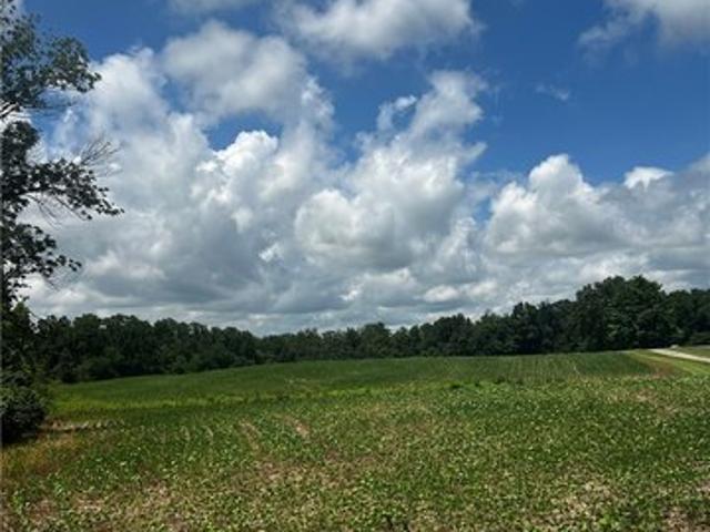 Waynesville Jamestown Rd, Xenia, OH 45335