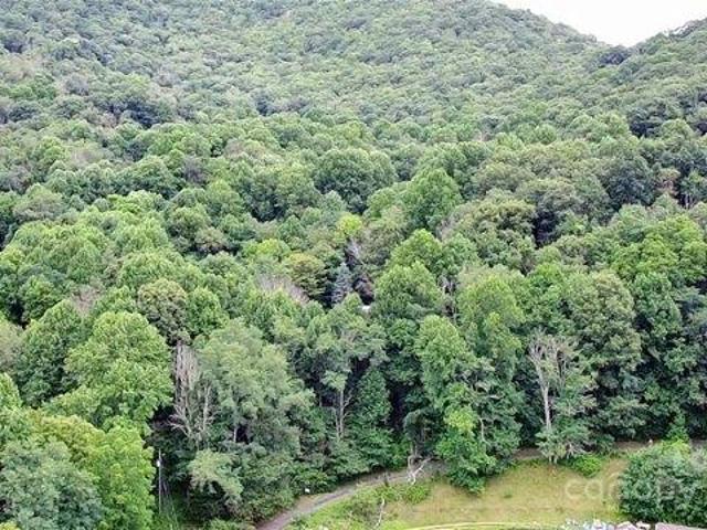 Waynesville NC 28786 104900032