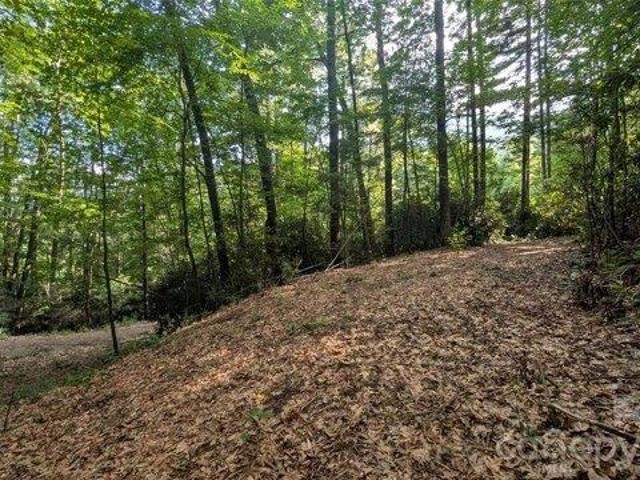 Waynesville NC 28786 104900129