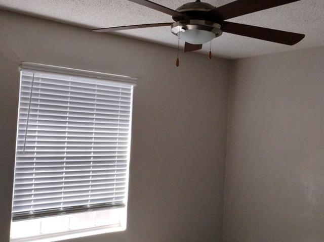 We are looking for a roommate