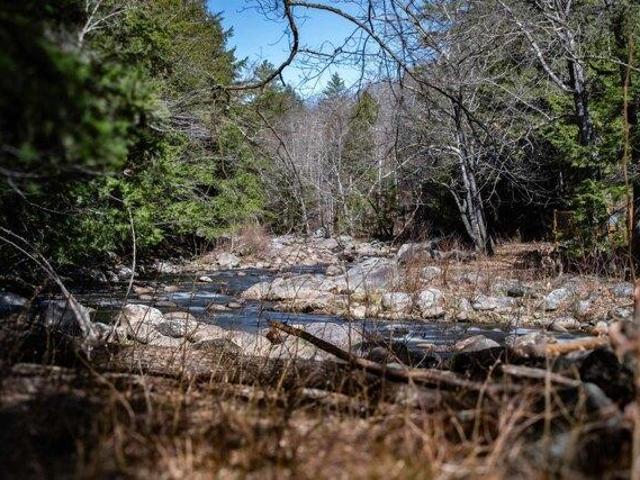 Wentworth NH 03282 103019351
