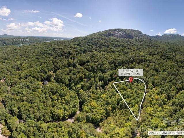 Weaver Ln, Lake Lure, NC 28746