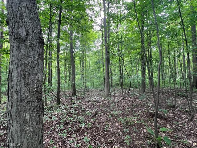 Weaver Road