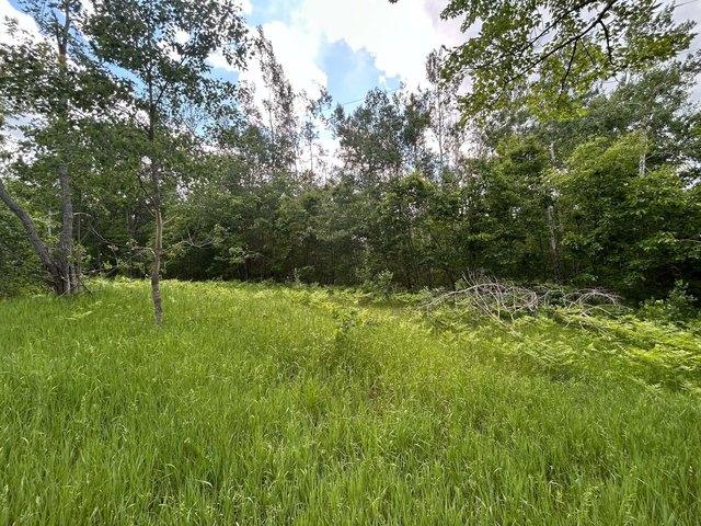 Weaver Rd Parcel 1, Comins, MI 48619