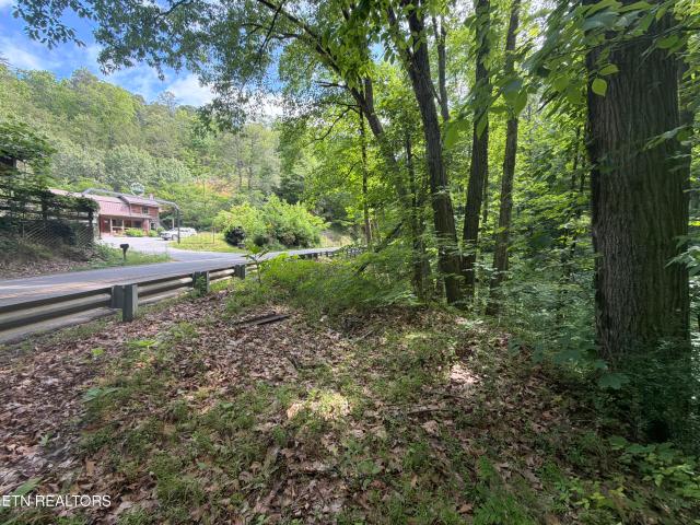 Wears Valley Rd, Townsend, TN 37882