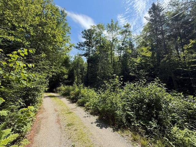 Webb Pond Rd Lot 23, Eastbrook, ME 04634