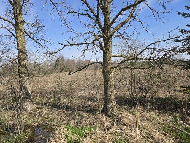 Weber Rd Lot C, Richmond Township, MI 48063