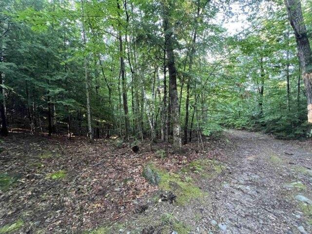 Webster NH 03303 104406209