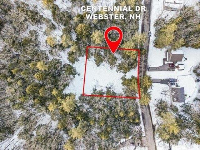 Webster NH 03303 104411267