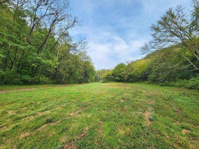 Webster Branch Ln, Whitleyville, TN 38588