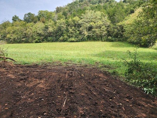 Webster Branch Ln, Whitleyville, TN 38588