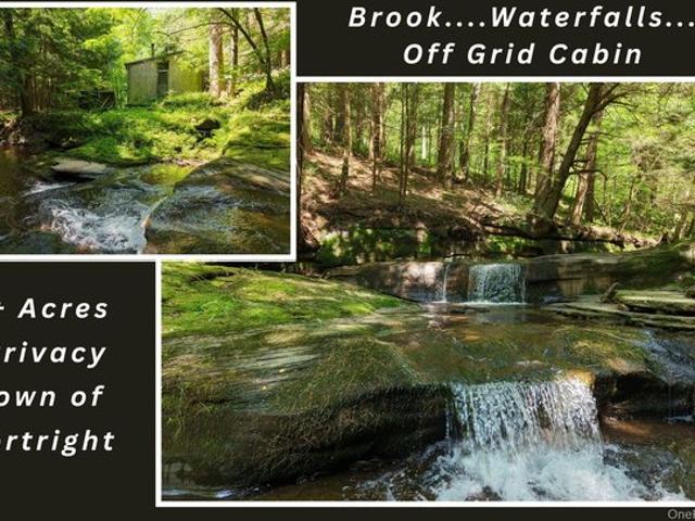 Webster Brook Rd Lot 35, Bloomville, NY 13842
