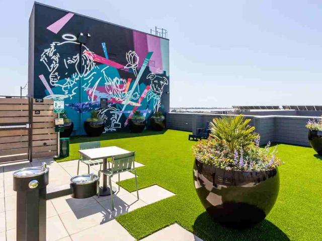 Webster Eleven Studio Apartment for Rent at 1100 Webster St, Oakland, CA 94607 Chinatown