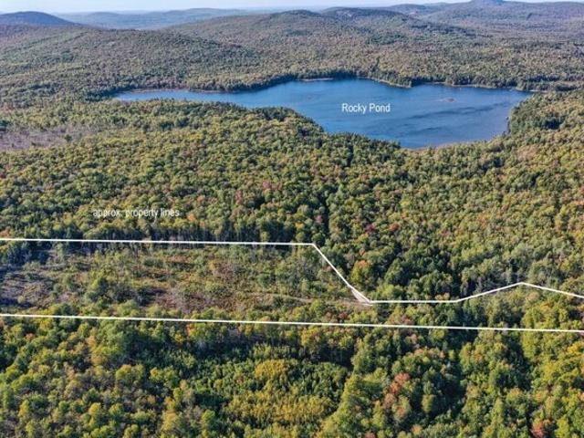 Wedge Heights Rd Lot,orland, Plot For Sale