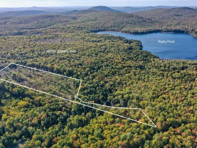 Wedge Heights Rd Lot,orland, Plot For Sale