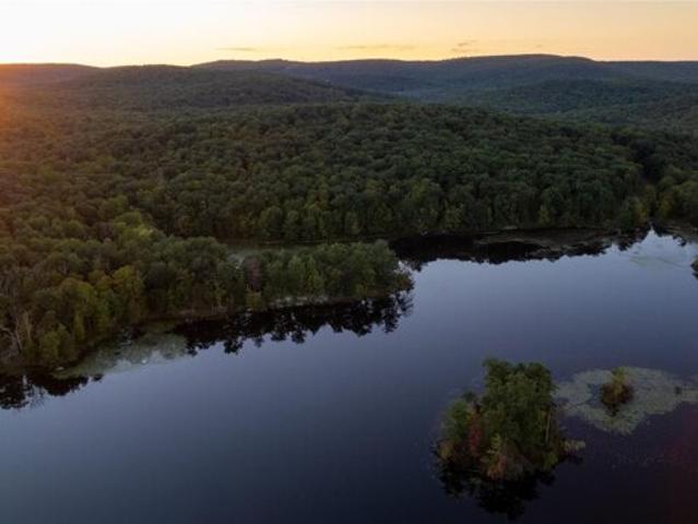 Wee Wah Rd, Tuxedo Park, Plot For Sale