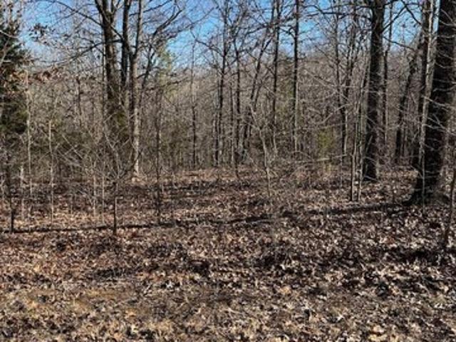 Weekend Ln Lot 62, Murray, KY 42071