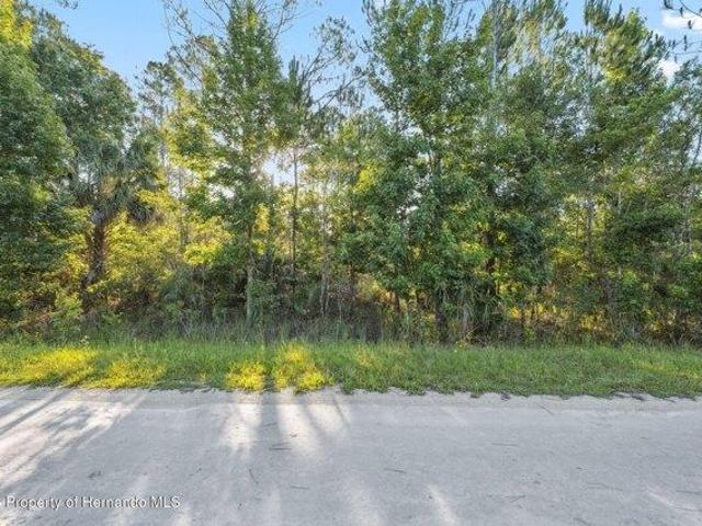 Weeki Wachee FL 34614 92481737