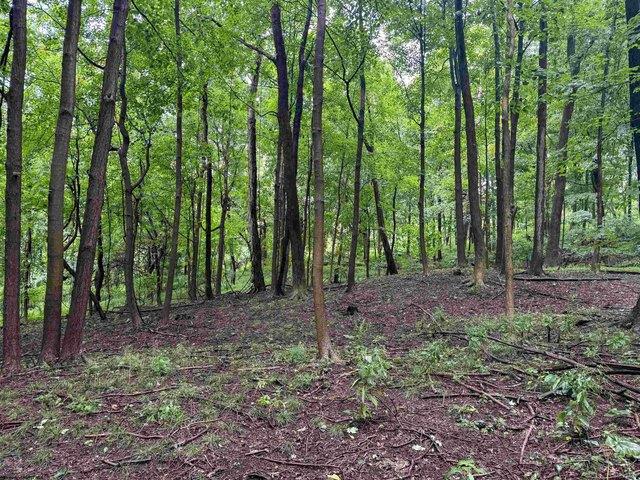 Weidman Run Rd Lot 1, Wheeling, WV 26003