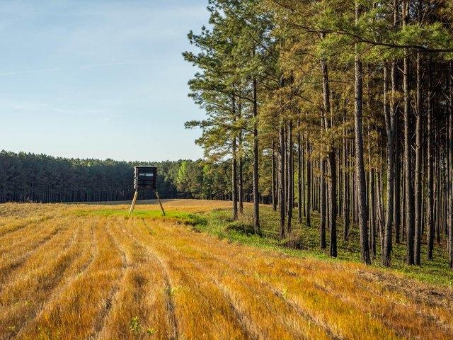 Weir Highpoint Rd, Weir, MS 39772