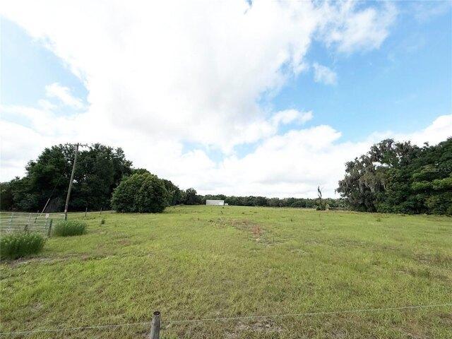 Weirsdale FL 32195 104899606