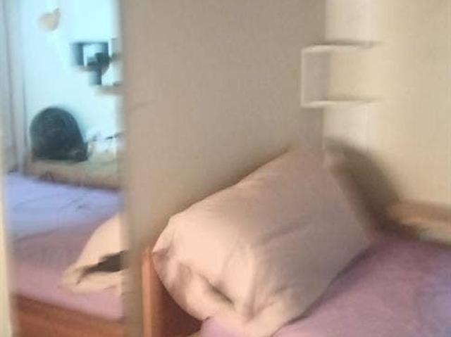 Welcome Home! Bed provided.