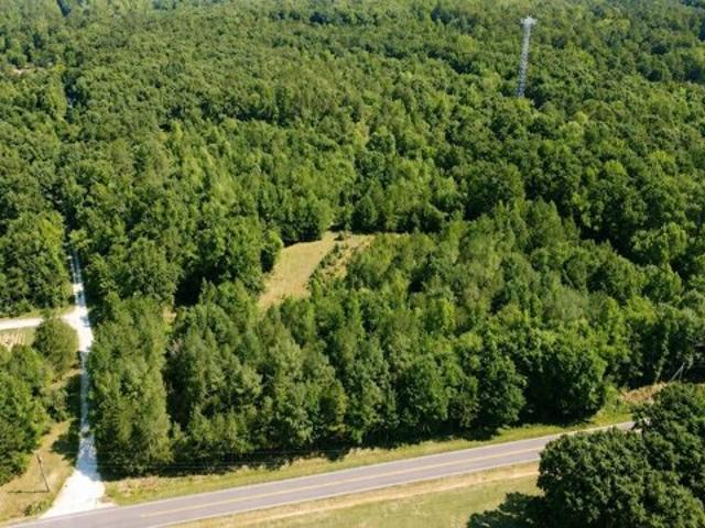 Weldon Painter Rd, Timberlake, Plot For Sale