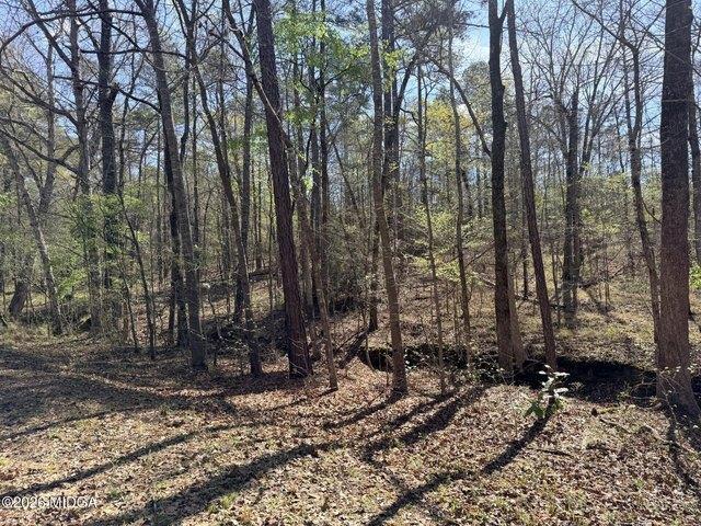 Welker Cir Lot 37, Macon, GA 31211